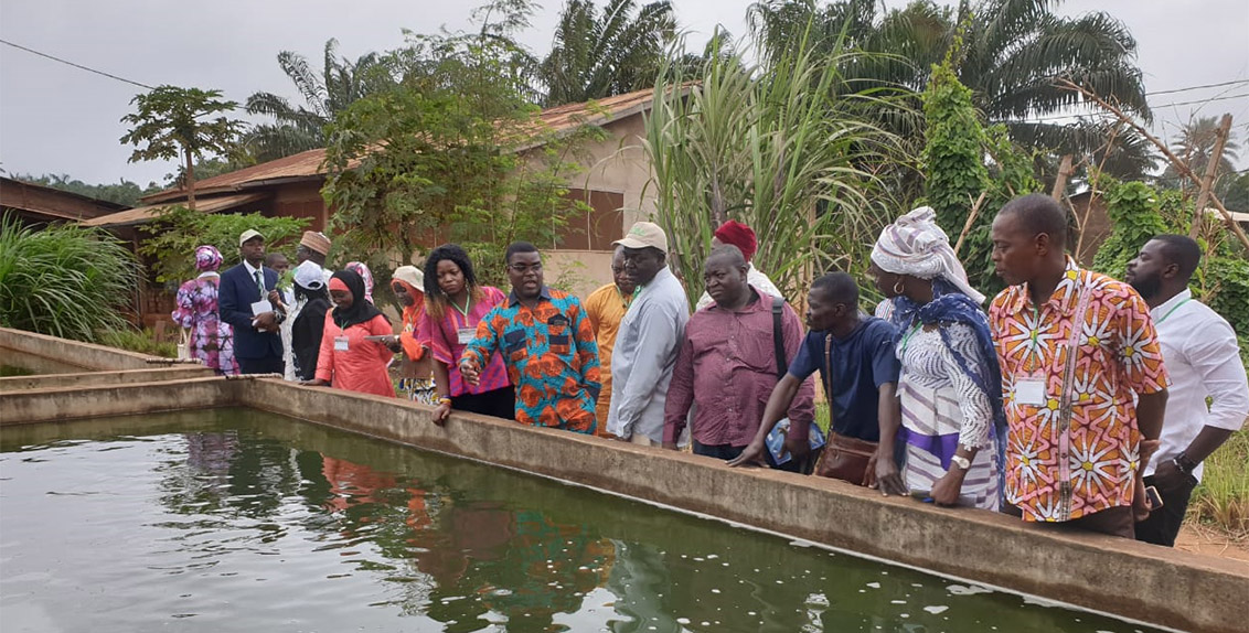 Integrated farming systems in sub-Saharan Africa | International Center ...