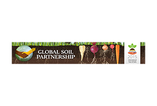 Global Soil Partnership Plenary Assembly | International Center for ...