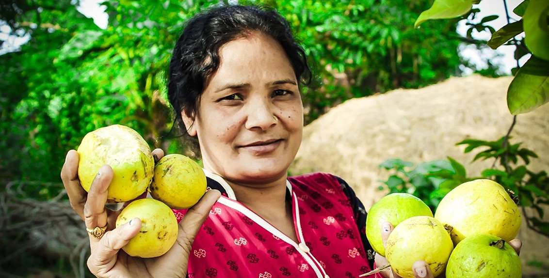 UN Food Systems Summit brief calls for global increase in consumption ...