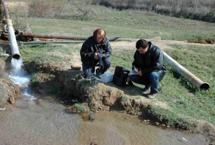 Enhanced Forage and Bioenergy Production | International Center for ...