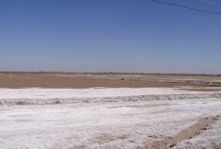 Agriculture for Marginal Lands in Central Asia | International Center ...