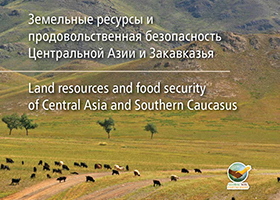 Soil forming processes and genetic diversity of Haloxylon aphyllum in ...