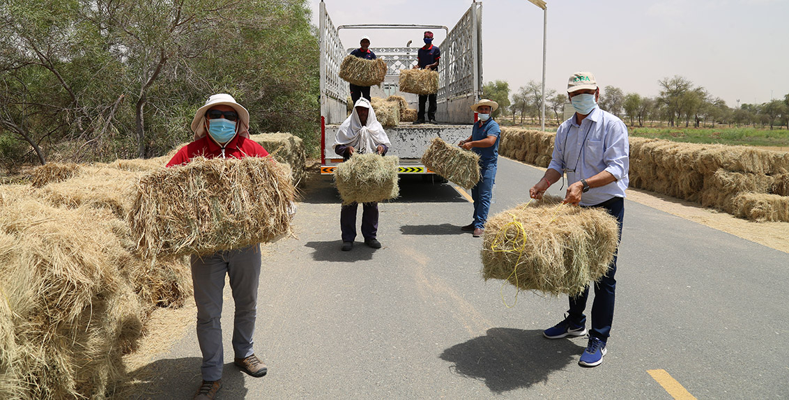 New community initiative supports food security efforts in UAE ...
