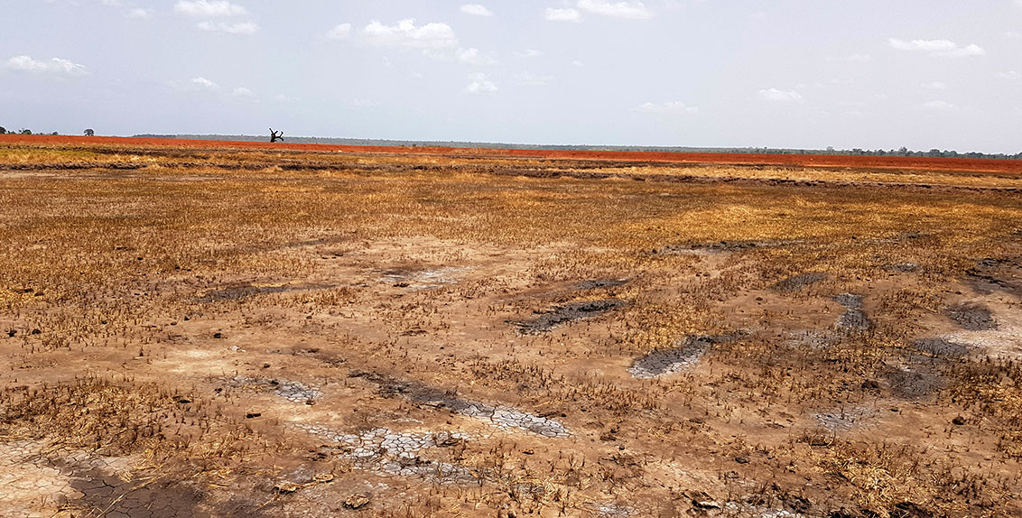 New study reviews status of marginal lands worldwide | International ...