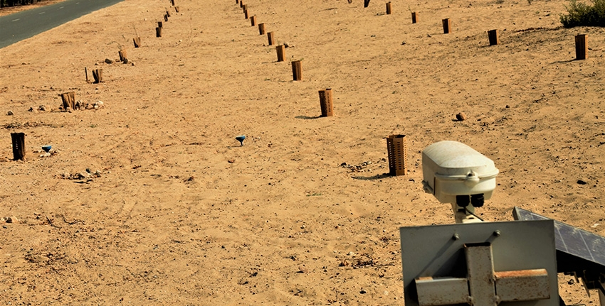 The planting demonstration project using Cocoon | International Center ...