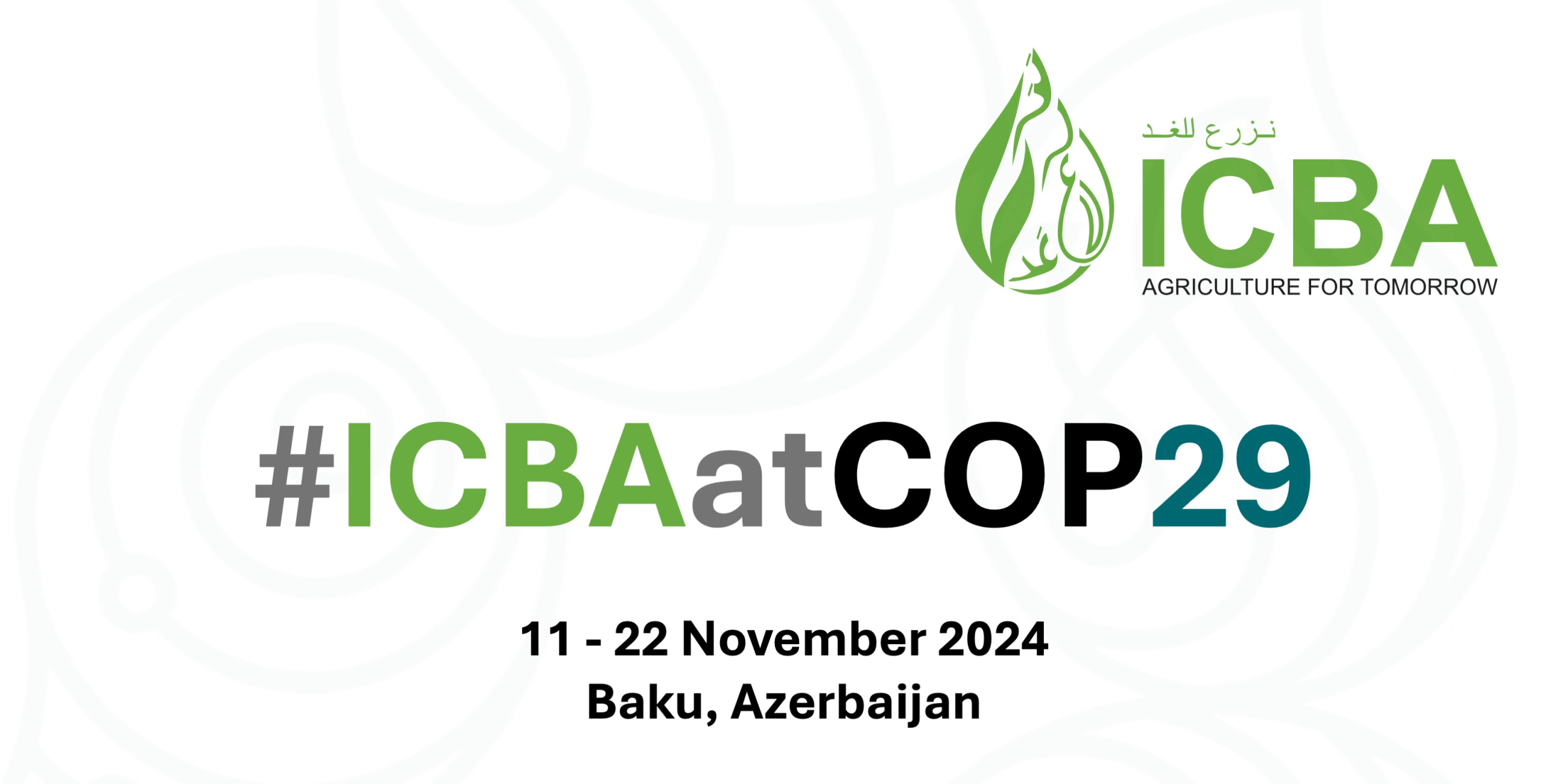 ICBA at COP29 | International Center for Biosaline Agriculture
