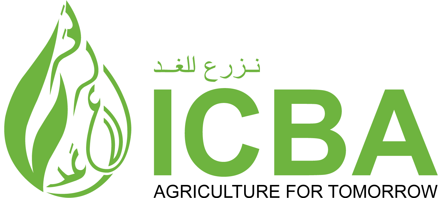 ICBA with other Partners Organized International Conference GECS2012 ...