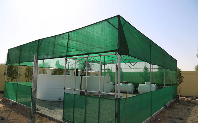 EXPO LIVE Project: “From Desert Farm to Fork: Value Chain Development ...