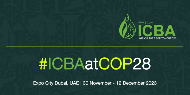 ICBA at COP28 | International Center for Biosaline Agriculture