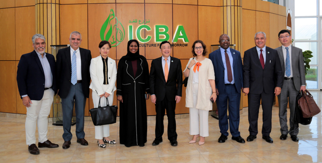 ICBA, FAO strengthen partnership to drive agrifood systems ...