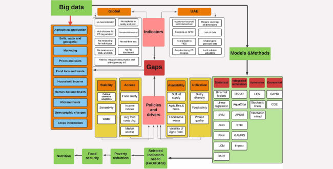 Scientists create new framework for food security analysis in UAE ...