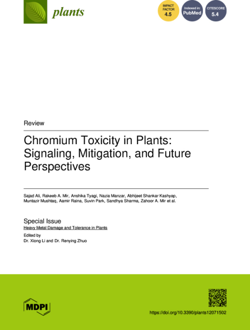Chromium toxicity in plants: signaling, mitigation, and future ...