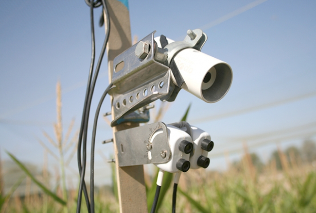 Using reflectance sensing in precision irrigation management and ...