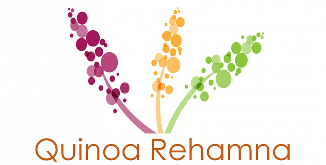 Scaling up quinoa value chain to improve food and nutritional security ...