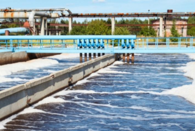 Ajman Sewerage Project Sludge Valorization Feasibility Study ...