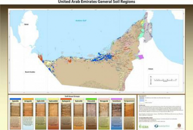 Soil Survey for the Emirate of Abu Dhabi | International Center for Biosaline Agriculture